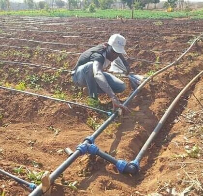 Enerji kurumları Solar Macs Energy, Lusaka, foto