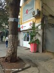 Liz Óptician (Luanda Province, Municipality of Luanda, Vila - Alice), optik  Loanda'dan
