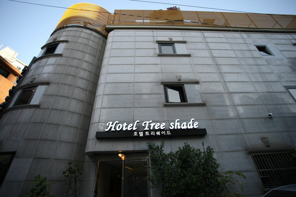 Otel Hotel TreeShade Dongdaemun, Seul, foto