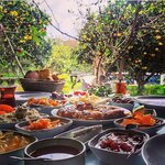 Asmalı Çardak (Tokat, Erbaa, Hükümet Cad., 148A), restoran  Erbaa'dan