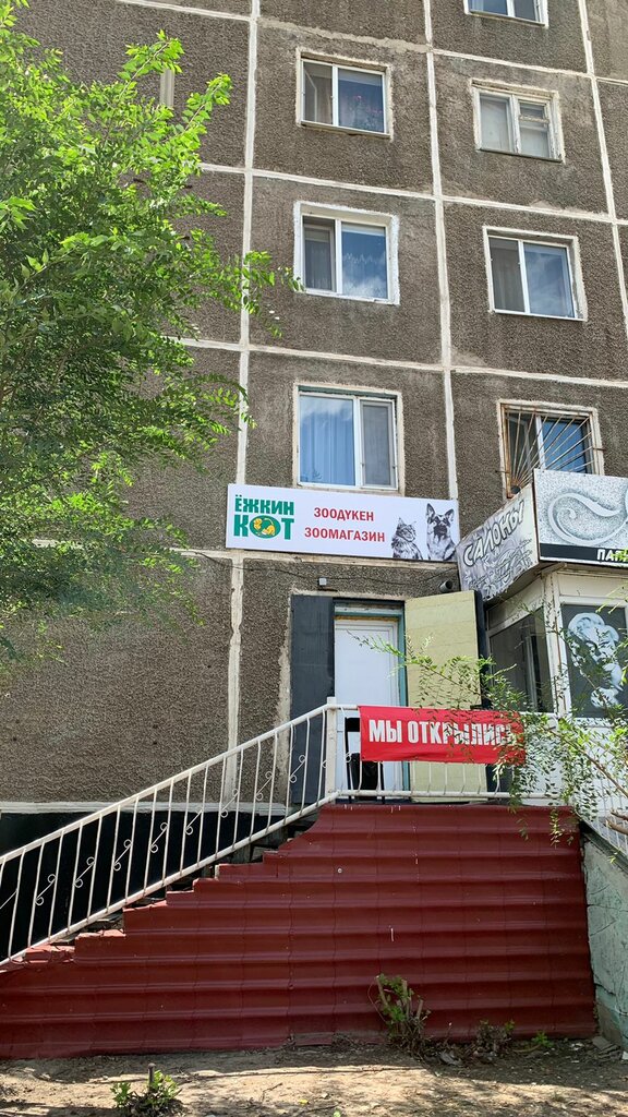 Petshop Ezhkin Kot, Yekibastuz (Ekibastuz), foto