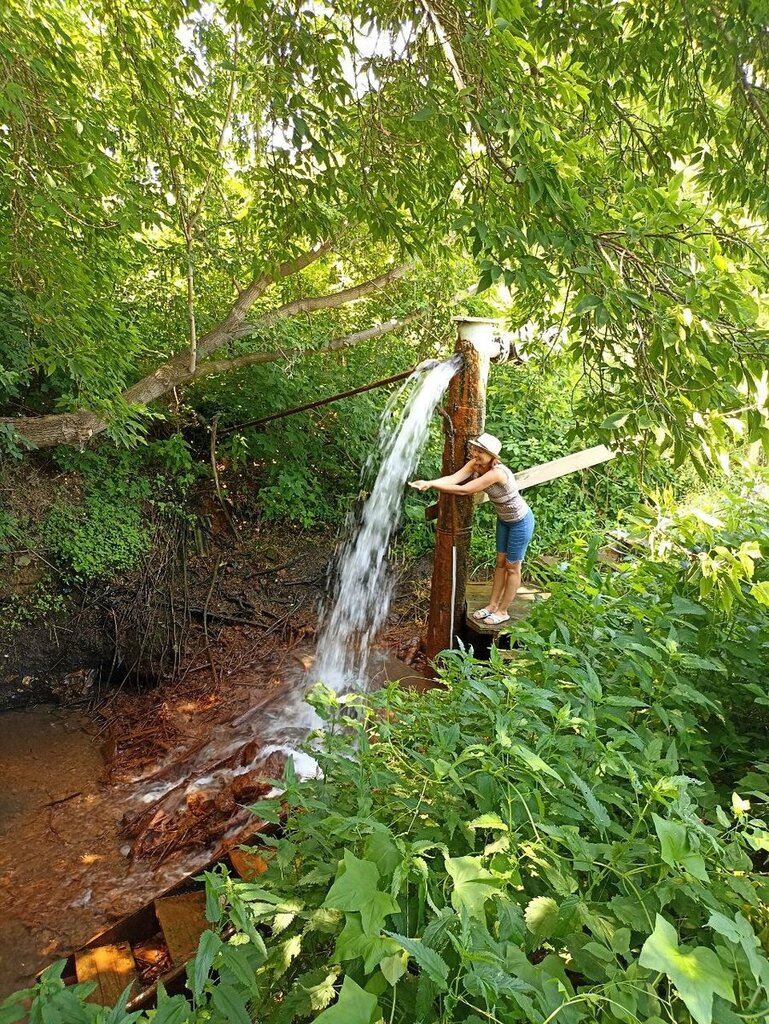 Pınar, çay Spring, stream, Altayski krayı, foto