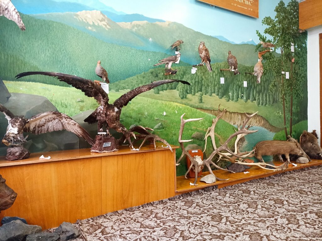 Müzeler ve sanat galerileri Привольненская картинная галерея, Krasnodarski krayı, foto