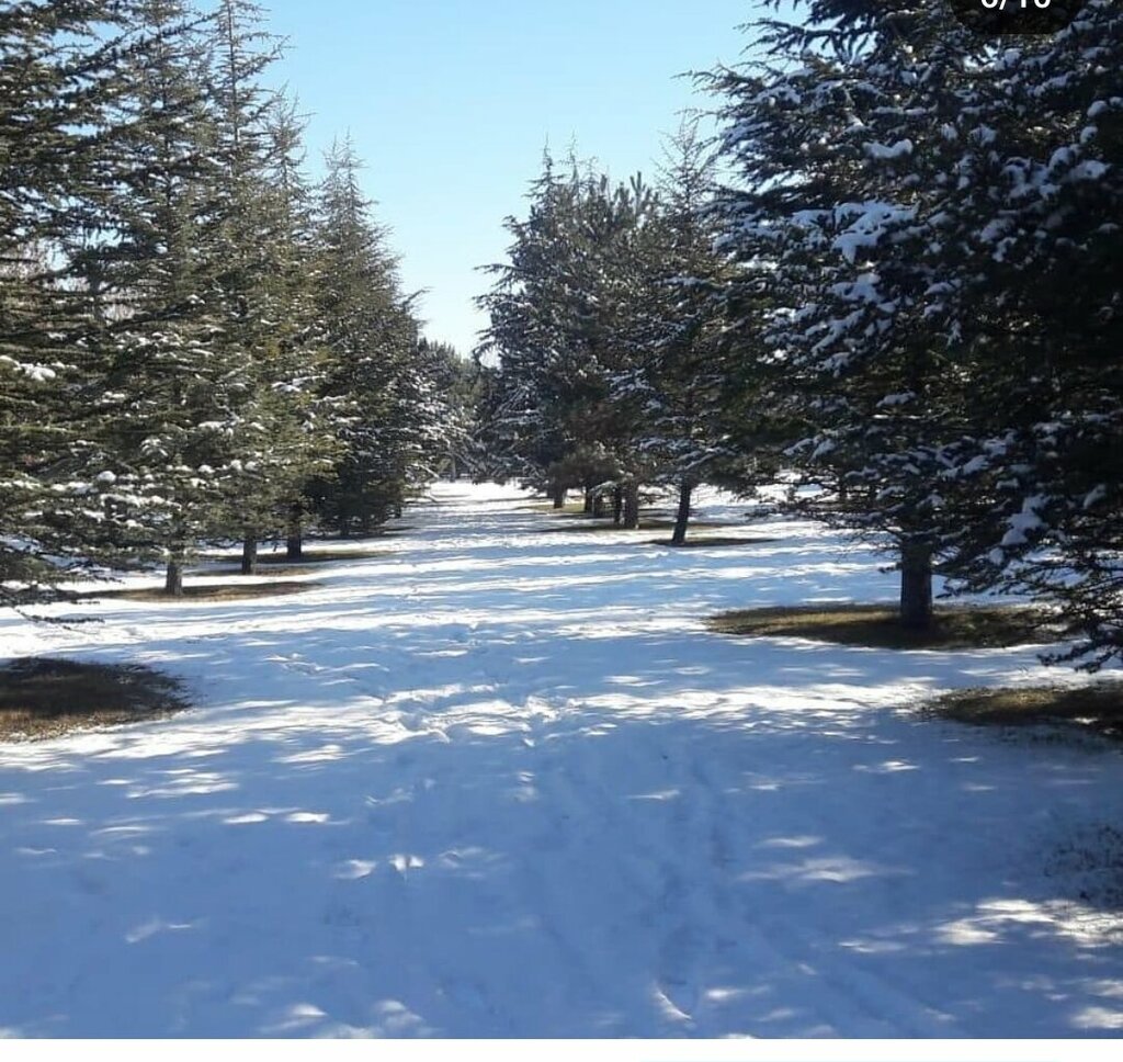 Muhtarlıklar Esenboğa Mahalle Muhtarlığı, Ankara, foto