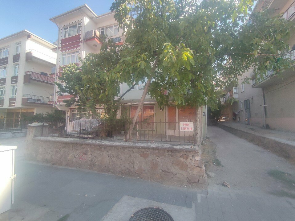 Müzik okulları ve konservatuarlar İlk Müzik Eğitimi, Ankara, foto