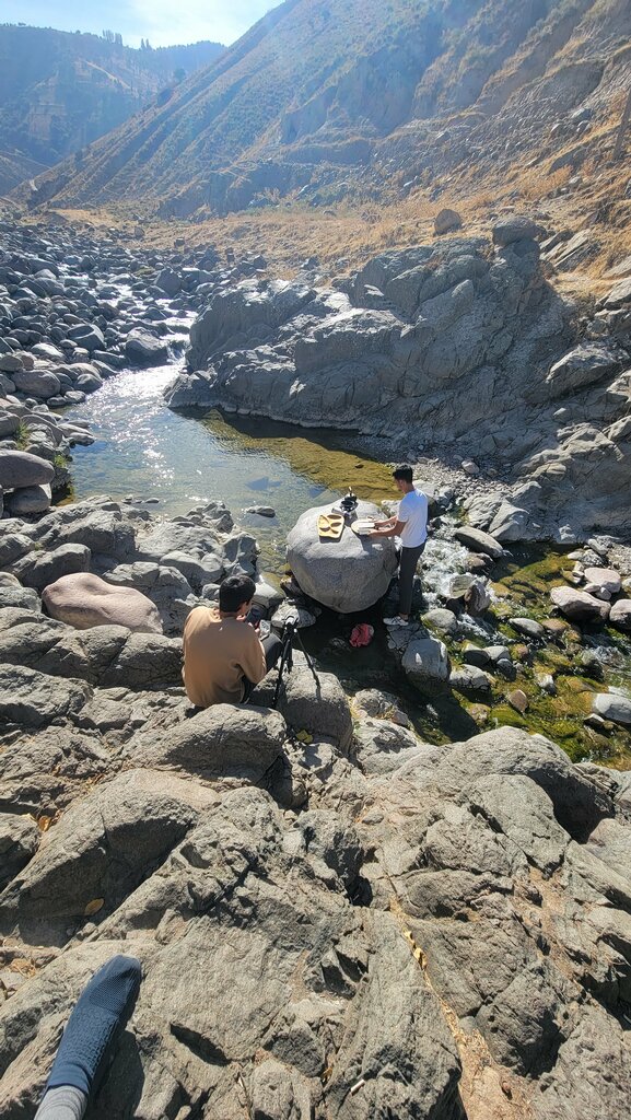 Piknik alanı Picnic Area, Taşkent eyaleti, foto