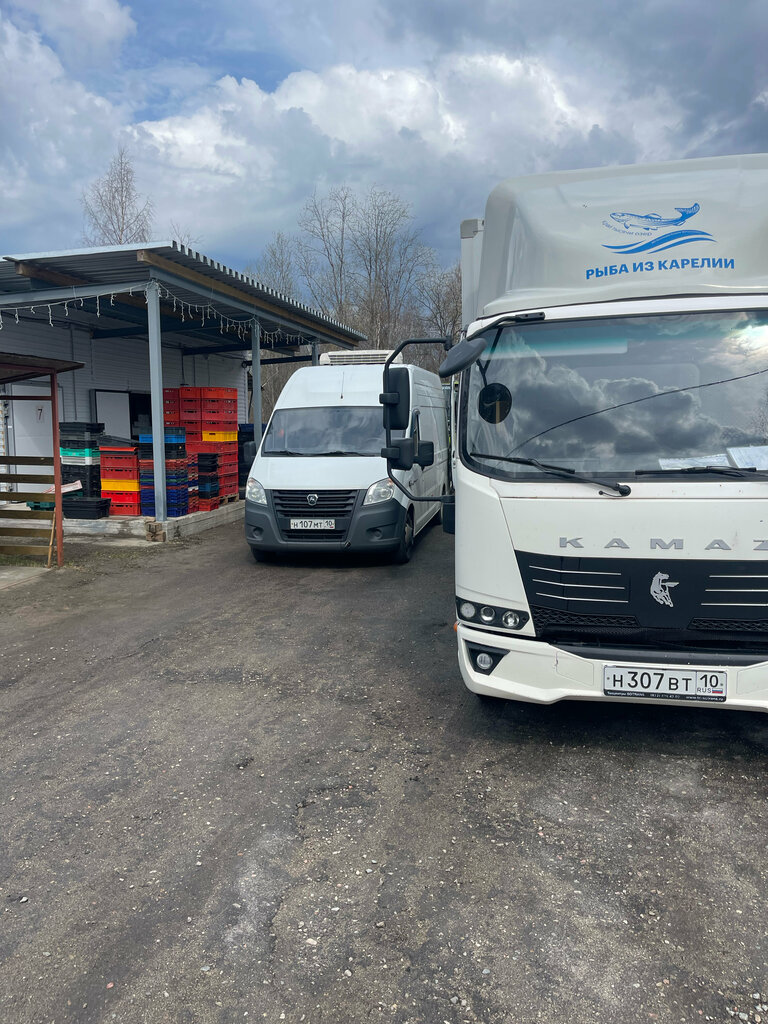 Balık çiftçiliği ve toptancıları ИП Кузнецов Вадим Витальевич, Karelya, foto