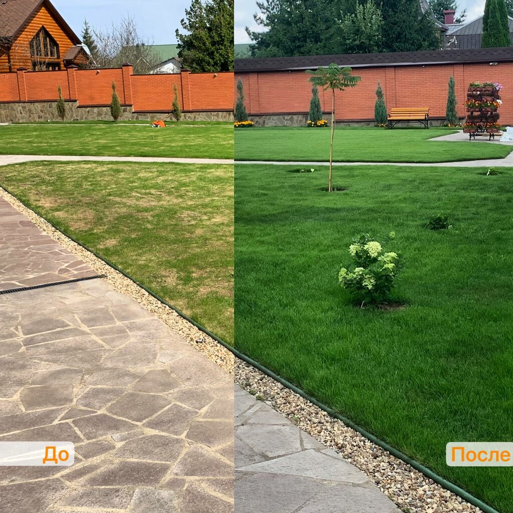 Bahçe bakımı Chekhov Gardener, Çehov, foto