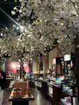 Rituals (Mall of the Emirates, Al Barsha 1, Al Barsha, Hadaeq Mohammed Bin Rashid, Dubai), kozmetik ve parfümeri mağazaları  Dubai'den
