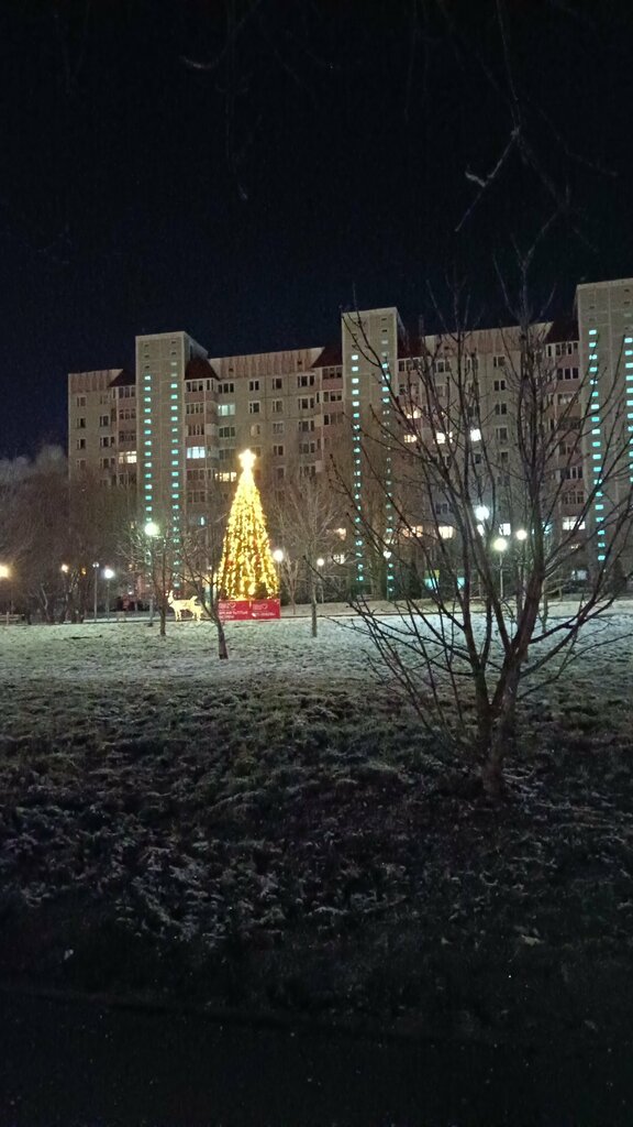 Kültür ve eğlence parkları сквер Победы, Moskova ve Moskovskaya oblastı, foto