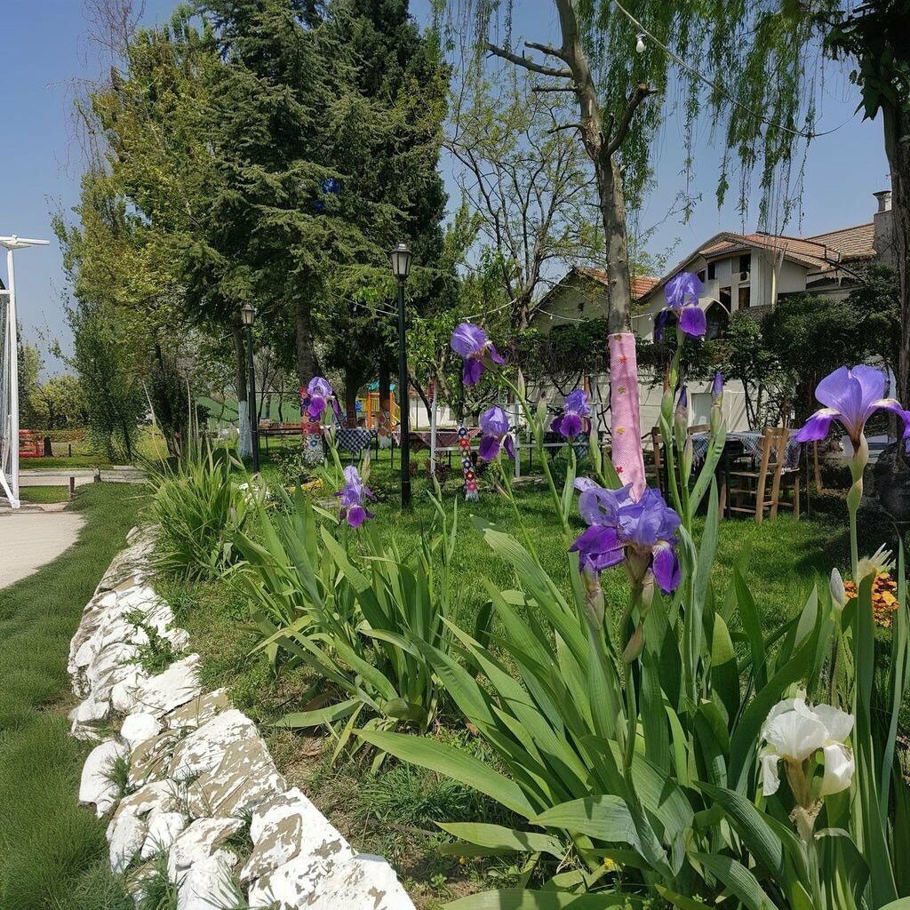 Restoran Grabuna, Keşan, foto