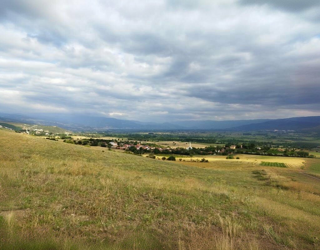 Muhtarlıklar Buzköy Köy Muhtarlığı, Niksar, foto