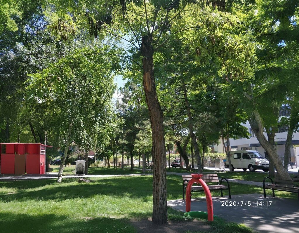 Kültür ve eğlence parkları Parklar ve ormanlar, Kayseri, foto