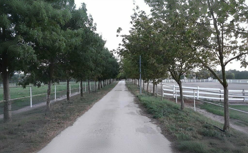 At ve binicilik kulüpleri Kılıçpaşa At Çiftliği, Silivri, foto