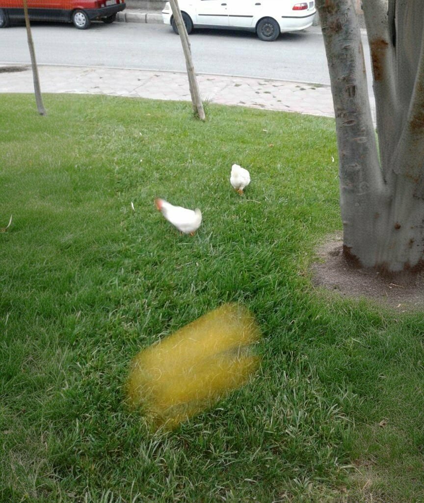 Kültür ve eğlence parkları Bosna Hersek- Doboy Yug Parkı, Ankara, foto