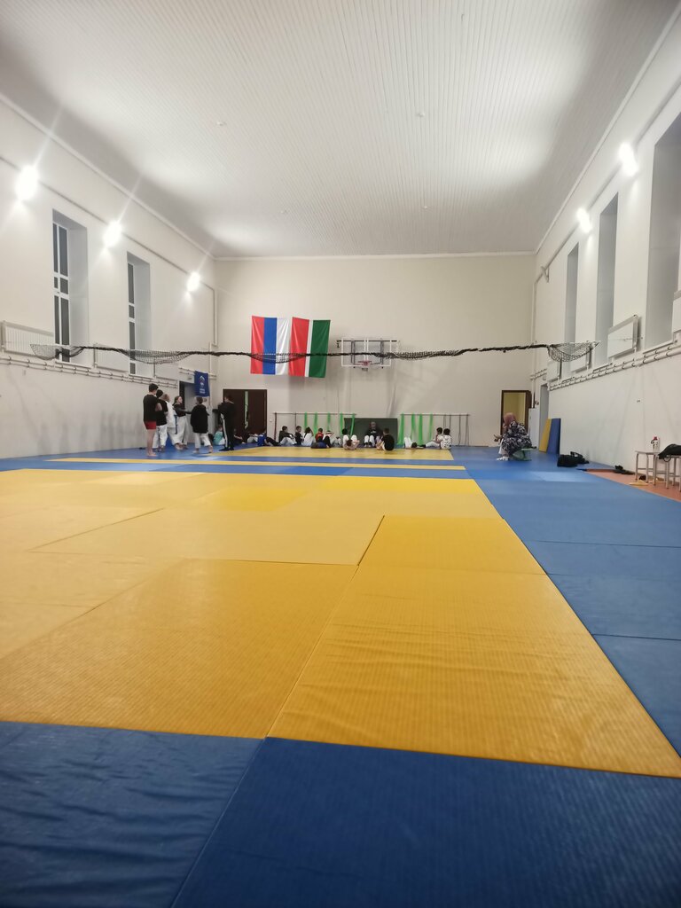 Çok amaçlı spor tesisleri Центр единоборств, Tataristan, foto