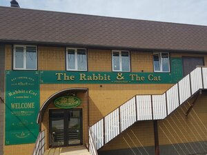 Rabbit and Cat (Vokzalnaya ulitsa No:2В), kafe  Mozhga'dan