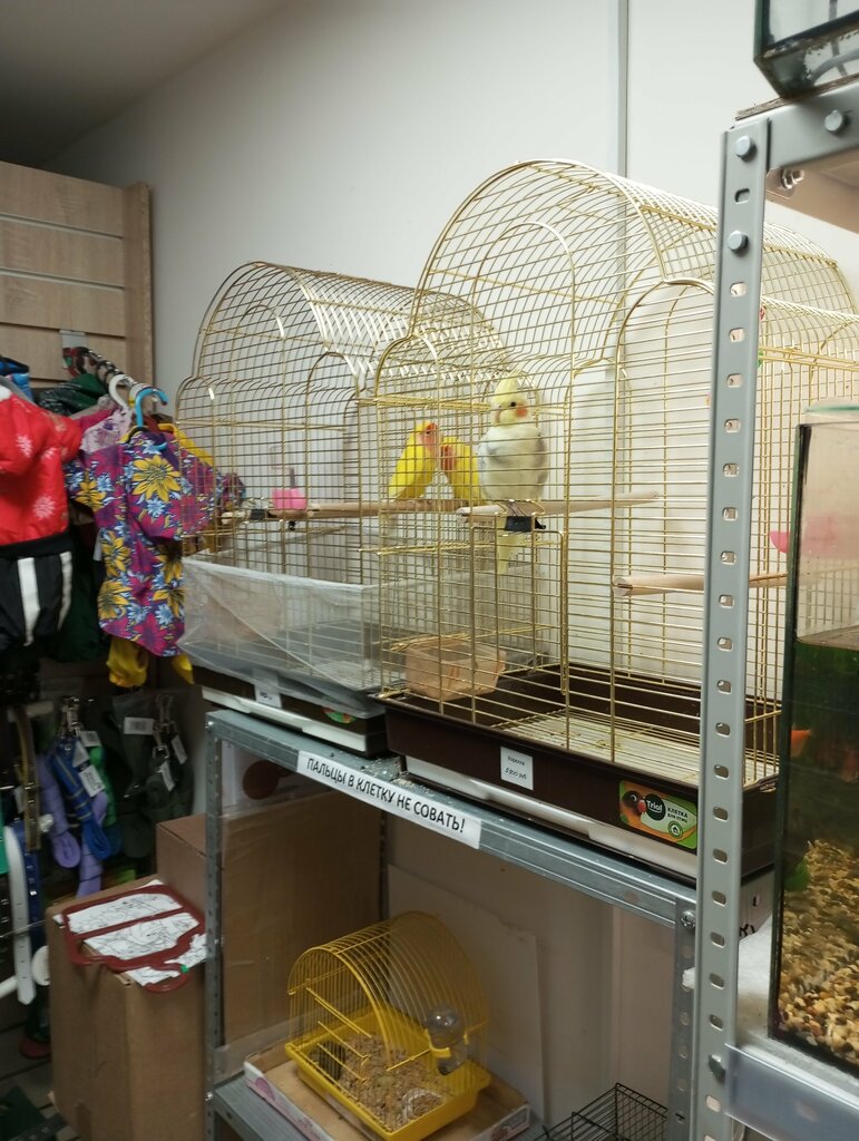 Petshop Верные друзья, Naberejniye Çelny (Yar Çallı), foto