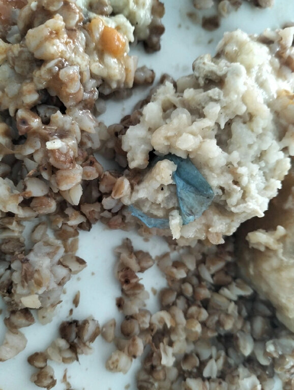 Kantin, yemekhane Столовая, Arhangelsk, foto