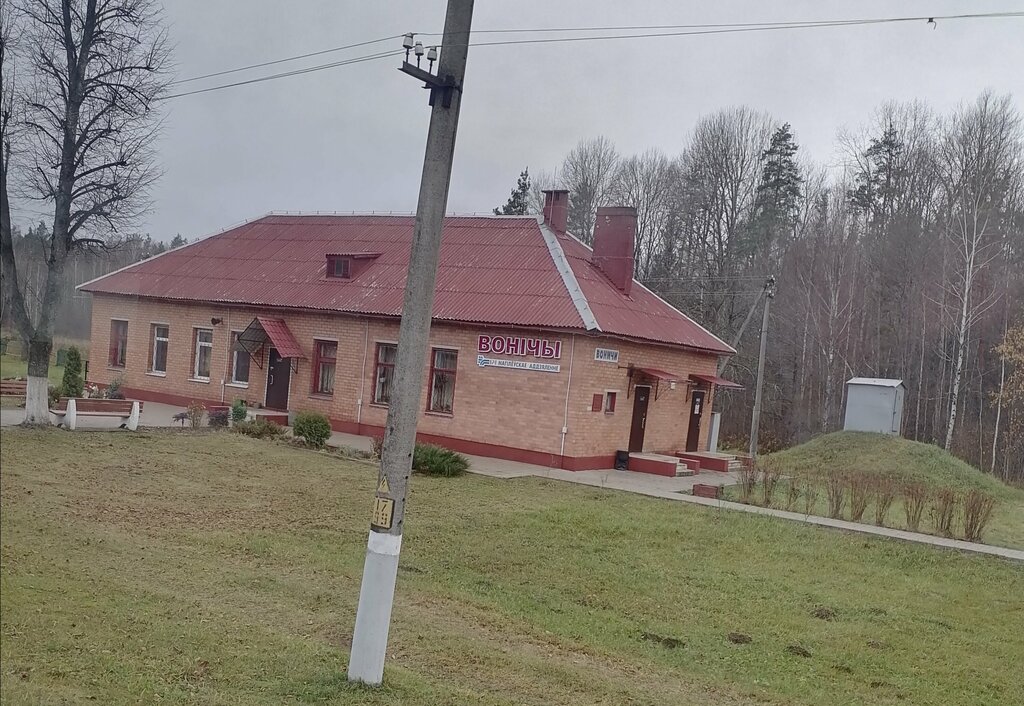 Tren garları Railway station, Mogiliovskaya oblastı, foto
