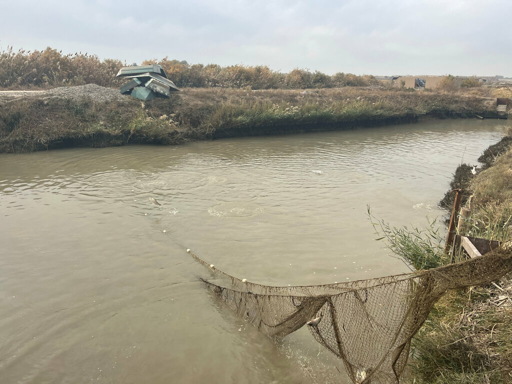 Kafe Fried Fish, Semerkant eyaleti, foto