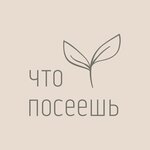 Chto Poseesh (Bashilovskaya Street No:22), gıda üreticileri  Moskova'dan