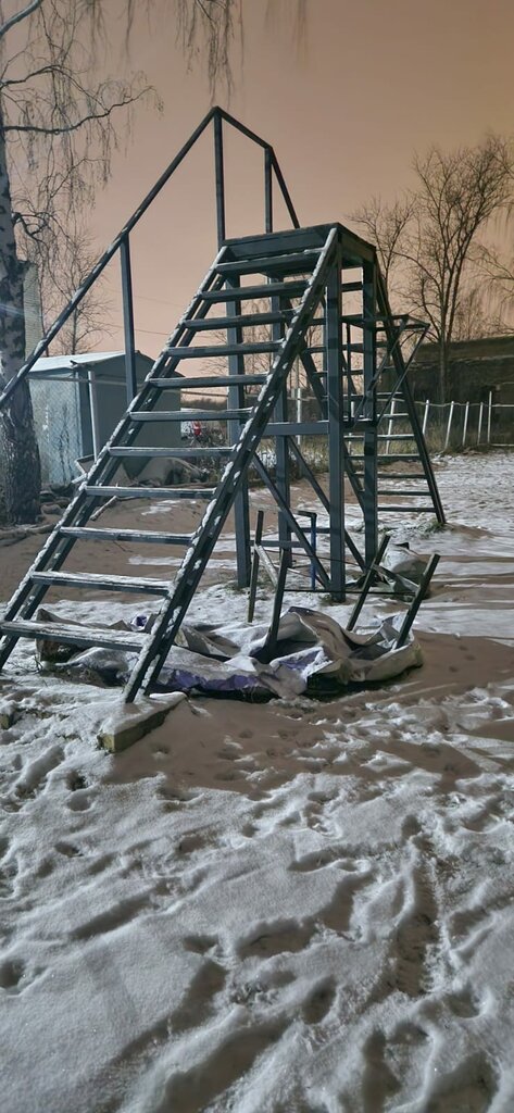 Köpek gezdirme alanları Dog park, Kostromskaya oblastı, foto