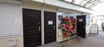 Искусственные цветы (Kaluga, Oktyabrskiy City Administrative District), yapay bitki ve çiçek  Kaluga'dan