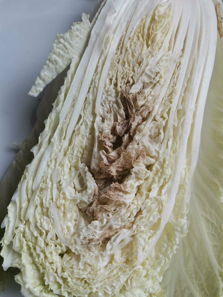 Manavlar Овощи и фрукты, Krasnodarski krayı, foto
