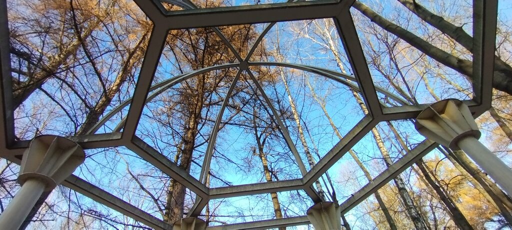 Çardak Gazebo, Moskova, foto