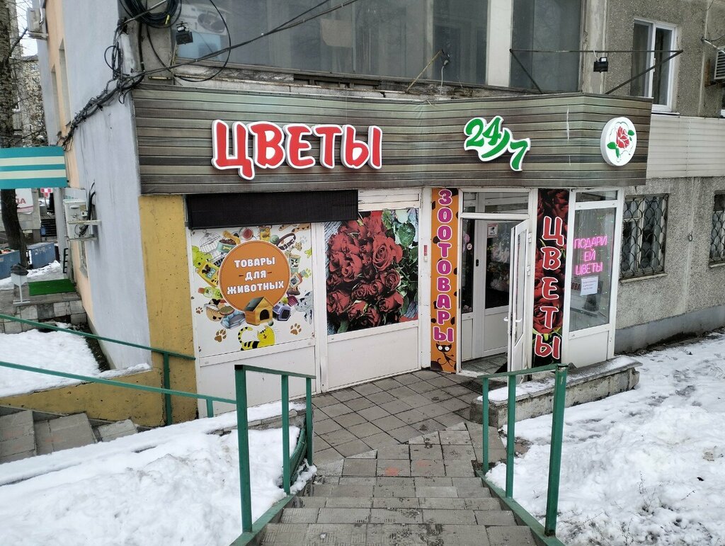 Çiçekçiler Цветы, Saratov, foto