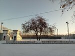 Синара (Sverdlovsk Region, Kamensk-Uralskiy gorodskoy okrug, Sinarskiy rayon), stadyum  Kamensk‑Uralski'den