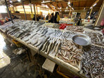 Fish market (Baku street No:27), balık ve deniz ürünleri  Batum'dan