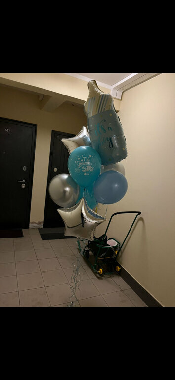 Kutlama ürünleri Воздушные шары, Moskova ve Moskovskaya oblastı, foto