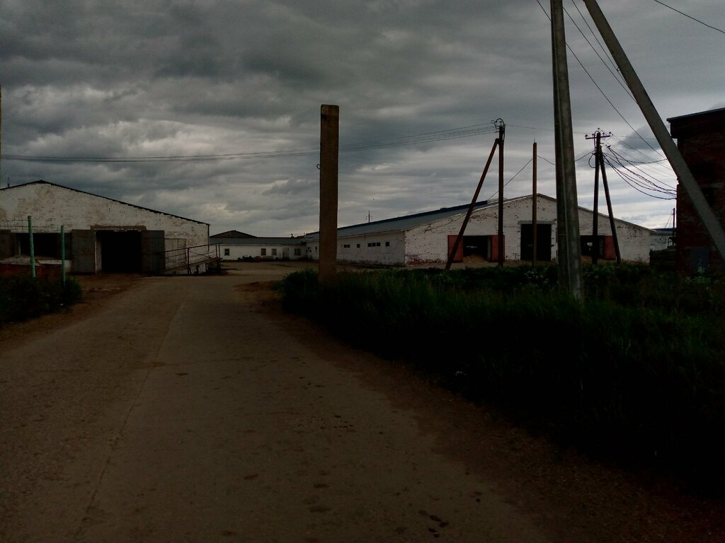 Tarım firmaları ООО СХП Устюгмолоко, отделение Двина, Vologodskaya oblastı, foto