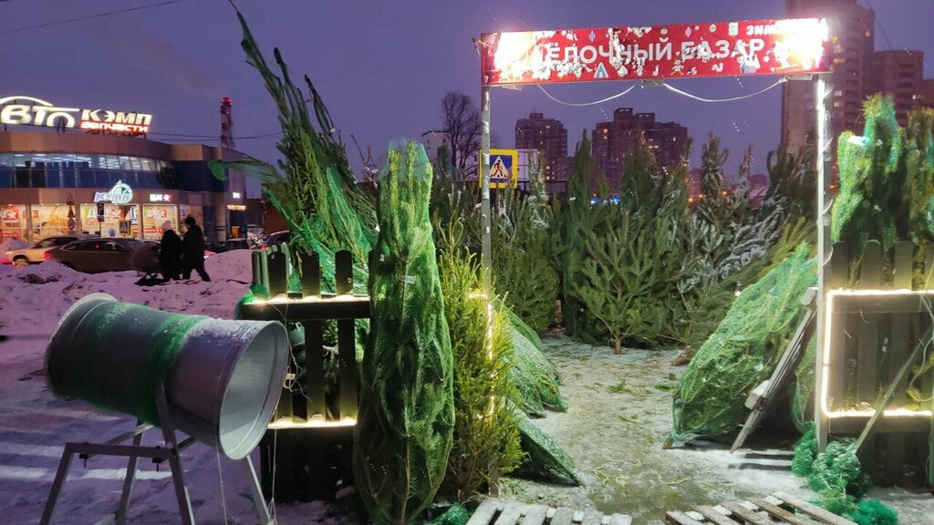 Çam ağacı pazarı Ay da yolki, Himki, foto