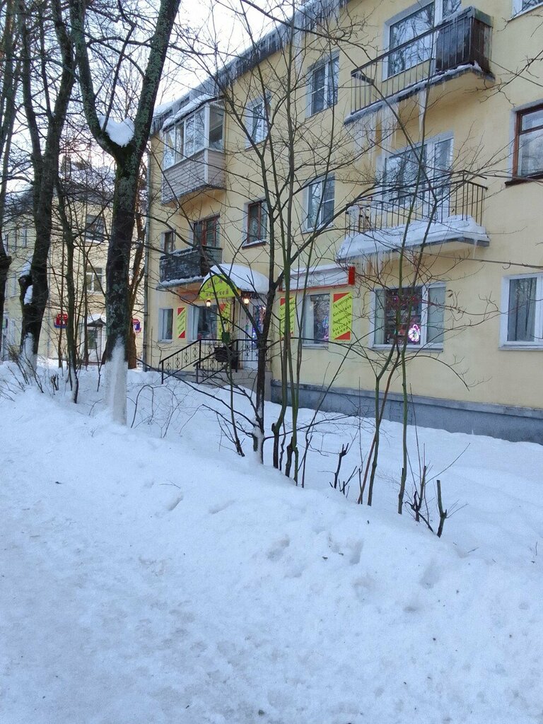 Ev temizlik ürünleri Тысяча мелочей, Priozersk, foto