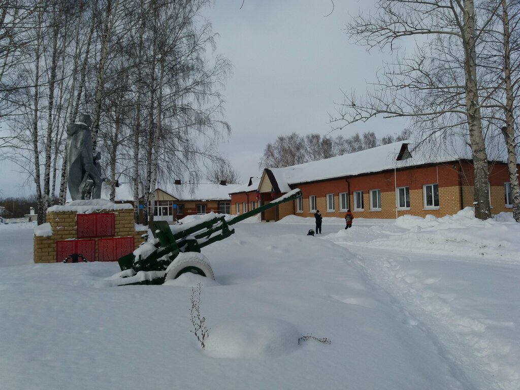 Ortaokul Рождественская средняя общеобразовательная школа, Tataristan, foto