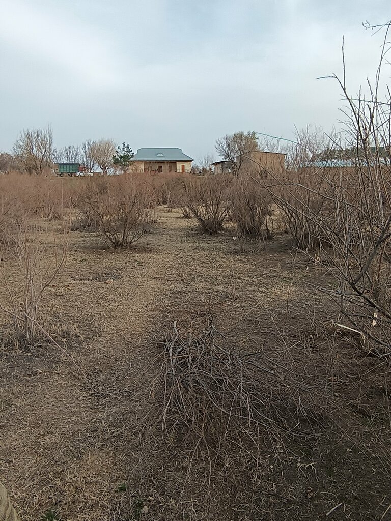 Tren istasyonu Şirabat İstasyonu, Surhanderya eyaleti, foto