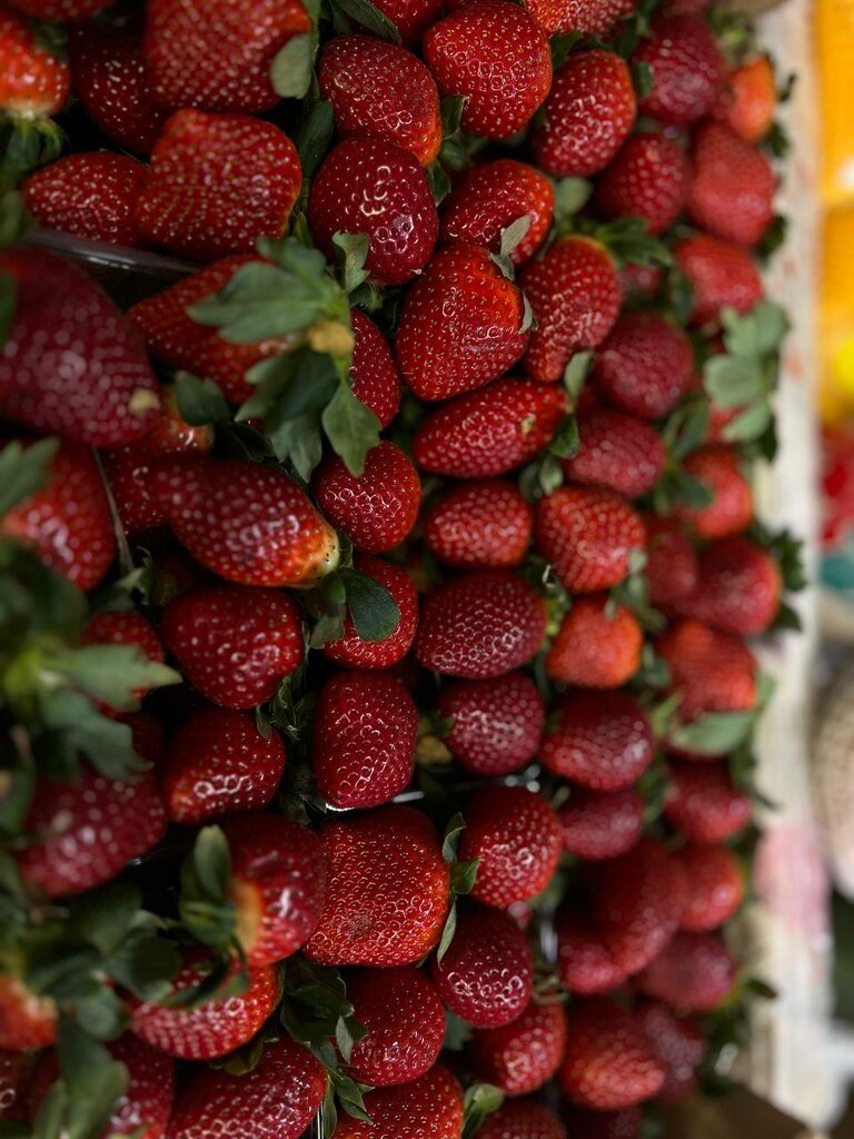 Market Фермерский дворик, Moskova ve Moskovskaya oblastı, foto