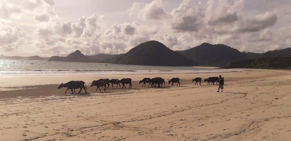 Otel Harmony Villas Lombok, , foto
