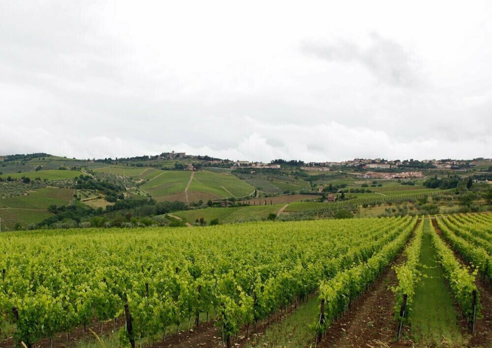 Otel Podere il Poggiolo, Toskana, foto