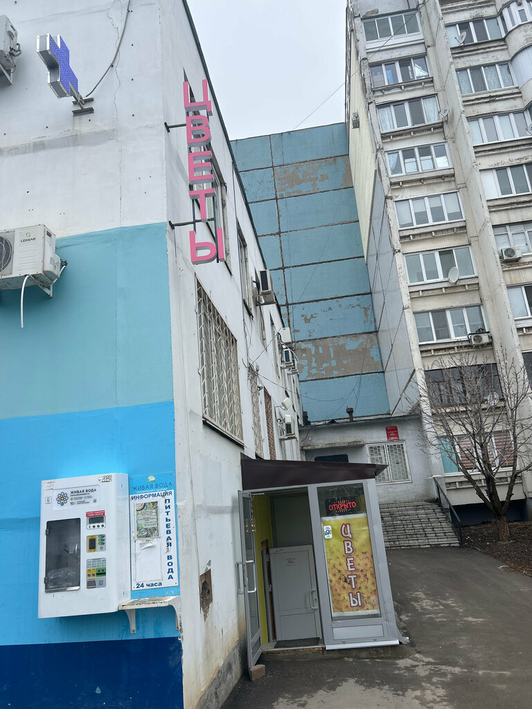 Çiçekçiler Цветы, Samarskaya oblastı, foto