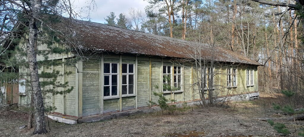 Yaz kampı Пионерский лагерь Орлёнок, Brianskaya oblastı, foto