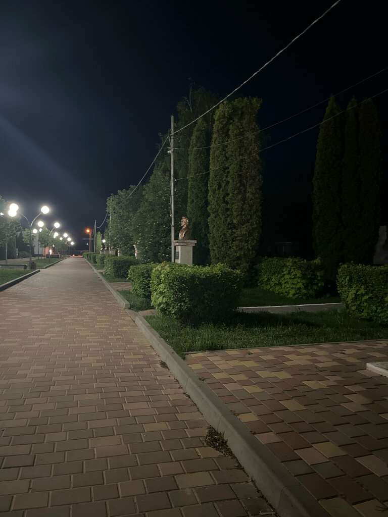 Anıt, heykel Памятник, Lipetskaya oblastı, foto