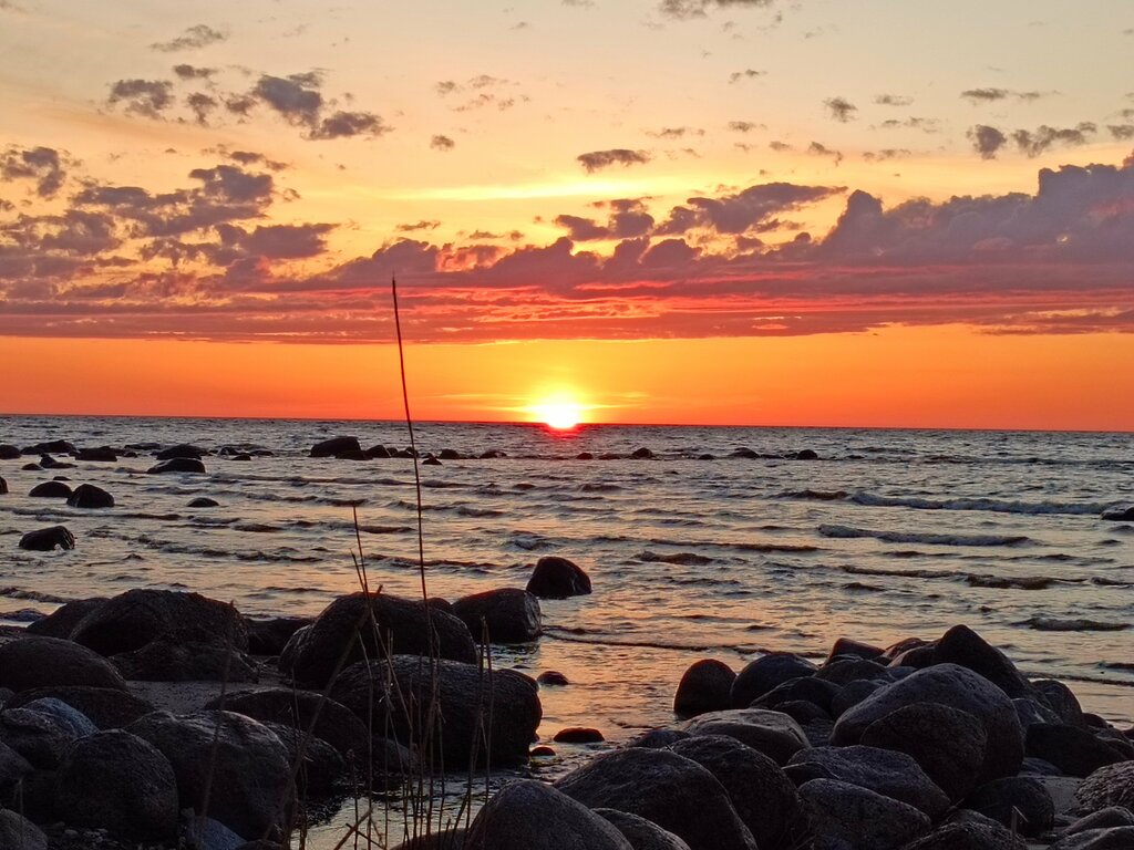 Otel Staroye Garkolovo, Saint‑Petersburg ve Leningradskaya oblastı, foto