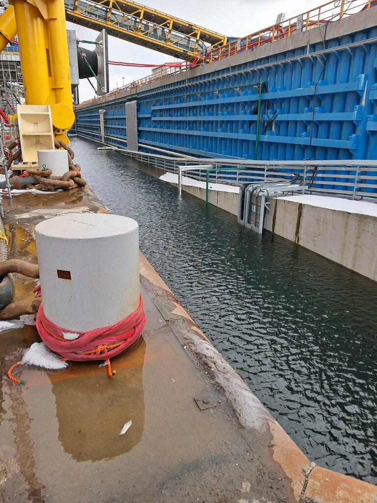 Balık ve deniz ürünleri Океан, Murmanskaya oblastı, foto