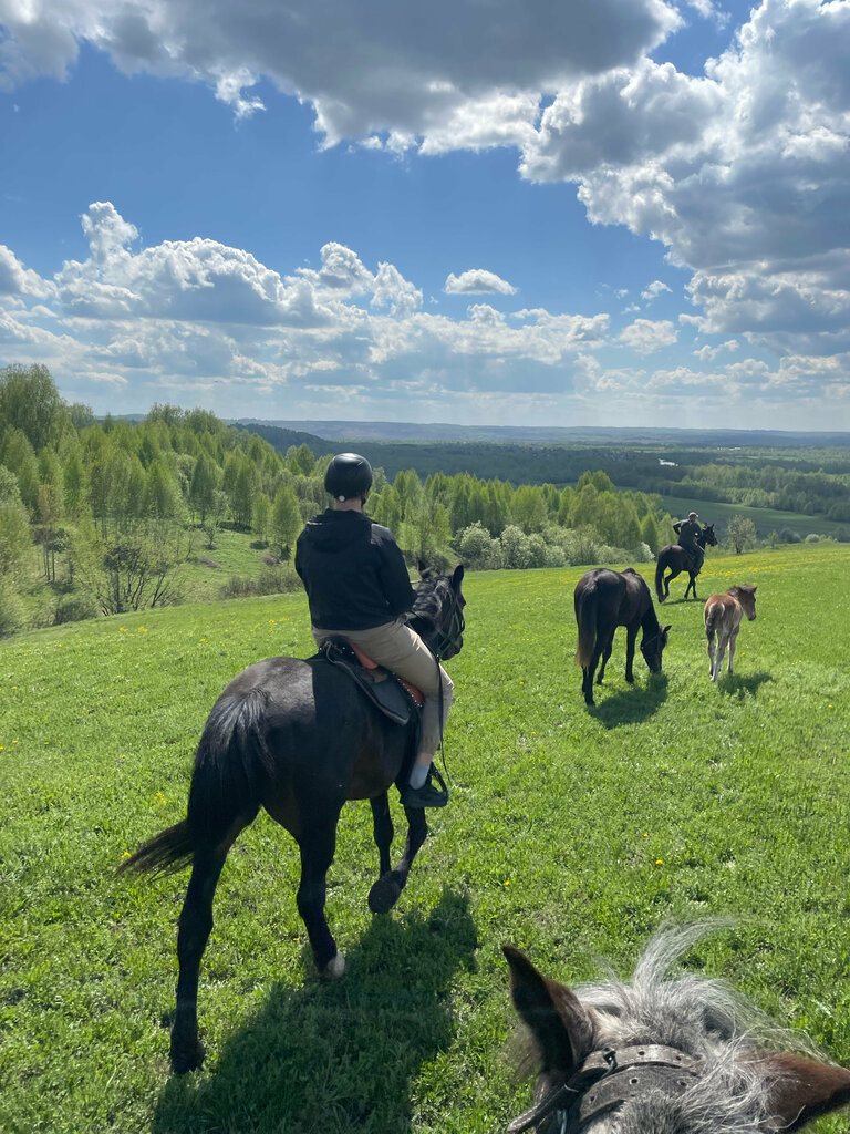 At ve binicilik kulüpleri Конные прогулки, , foto