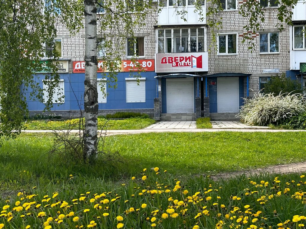 Kapılar Magazin Dveri V leto, Lyskovo, foto