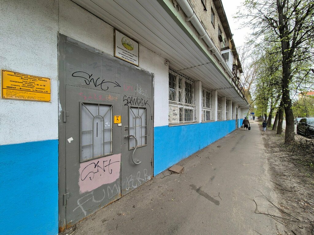 Sivil toplum kuruluşları Лицом к миру, Yaroslavl, foto